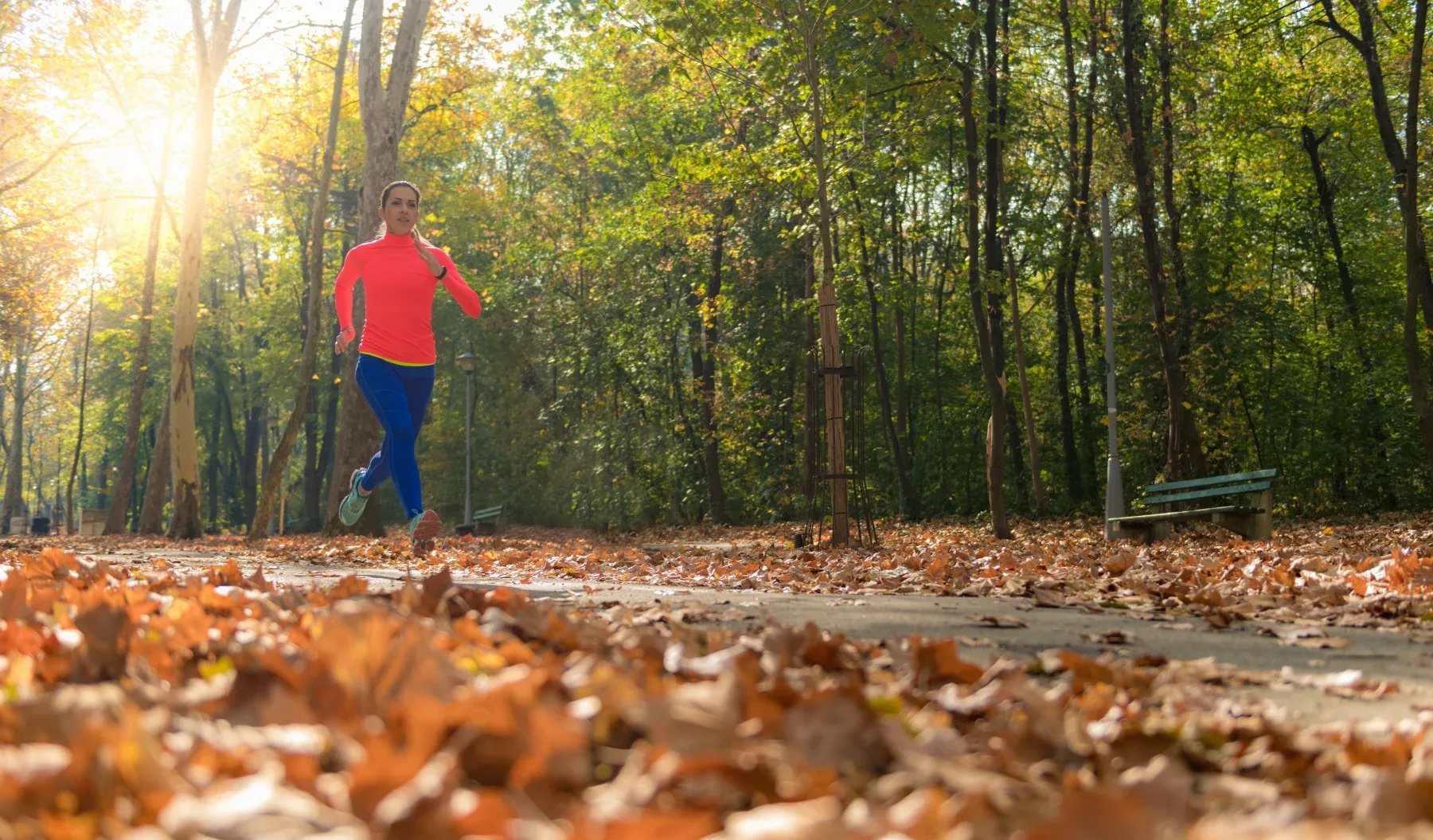 Understanding Your Respiratory Rate: Insights & Advice